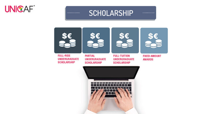 Undergraduate Scholarship: Definition, Types, Degree Levels, Fields ...