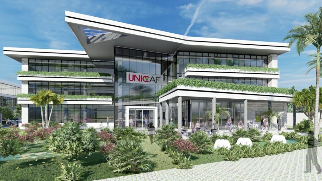 Unicaf Scholarships | Earn A Scholarship For A Recognised Degree
